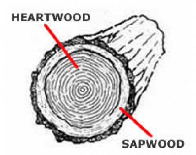 timber-durability - Davids Timber