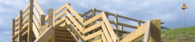 Why Do We Treat Timber?